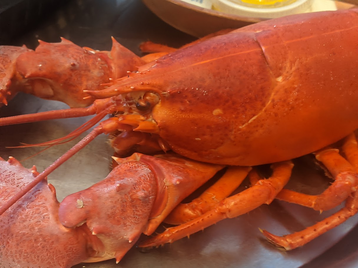 Jazzys Mainely Lobster | Cocoa Beach Fresh Seafood